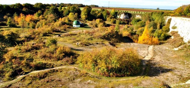 The Monkton Nature Reserve/Outdoors/Things To Do In Kent